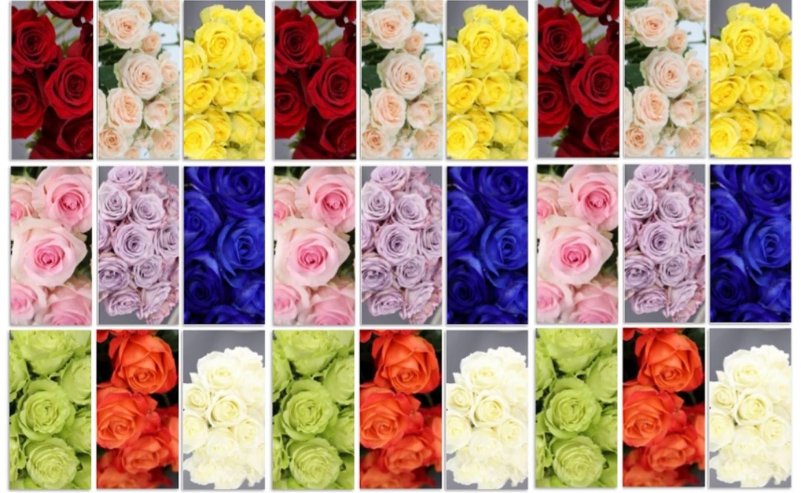 Cuadro De Significado Del Color Rosa